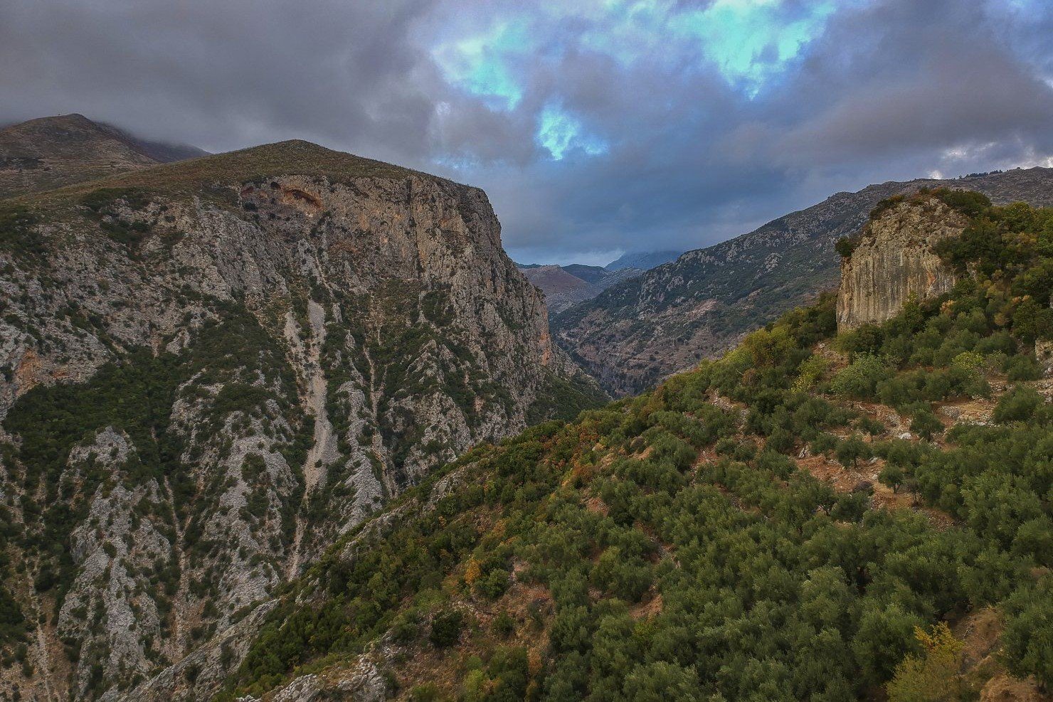 Φαράγγι των Μύλων Μεσσηνία | Πεζοπορία, Νερόμυλοι & Φύση| All About ...